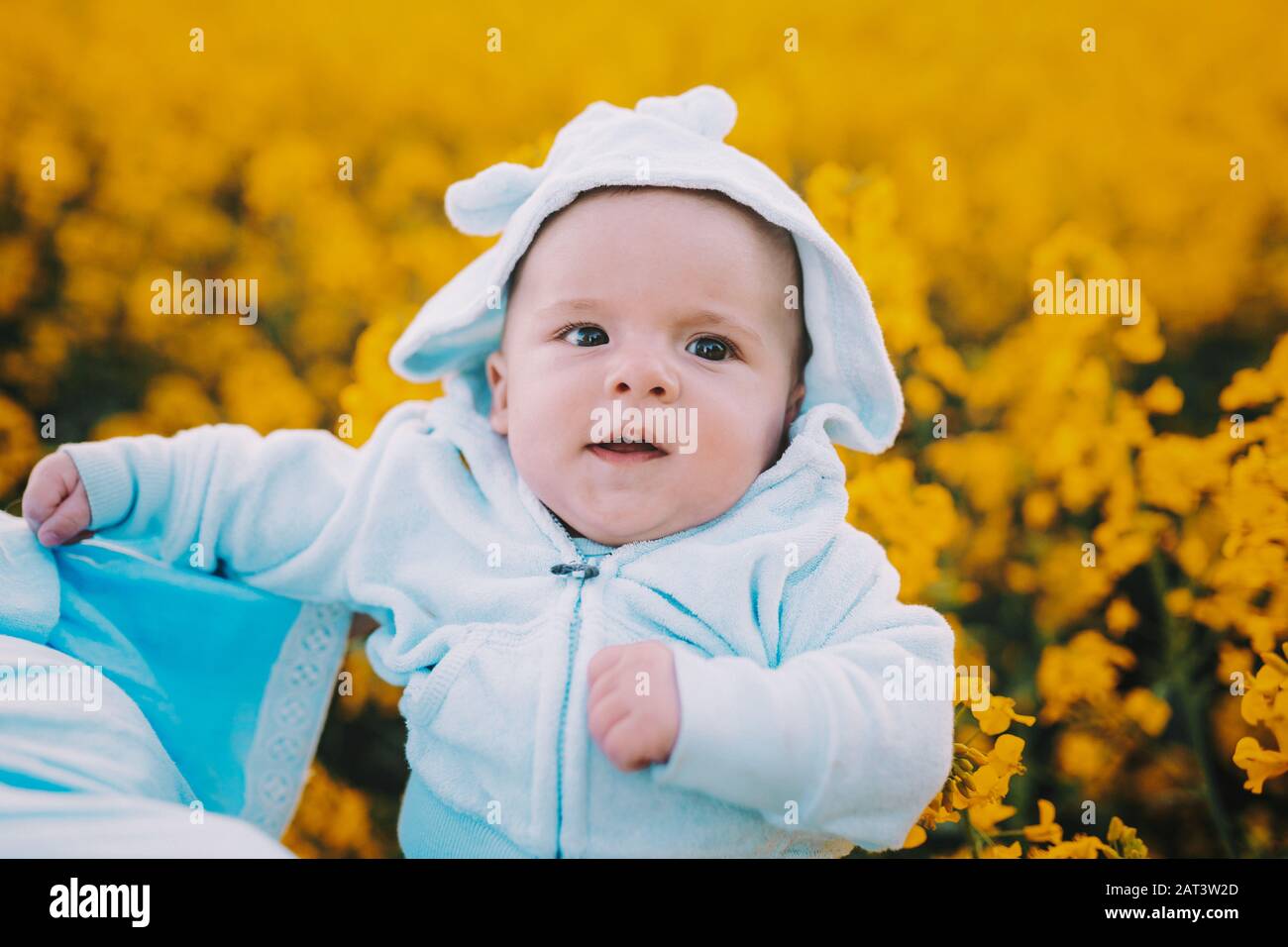 Cute little baby boy portrait in canola rapeseed field on yellow ...