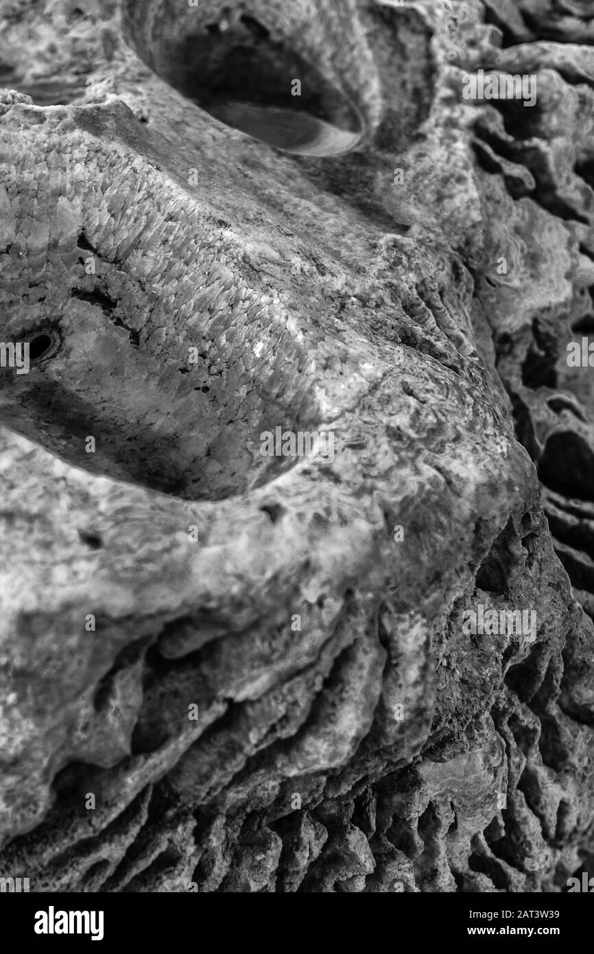 Close up concrete sculptures Black and White Stock Photos & Images - Alamy