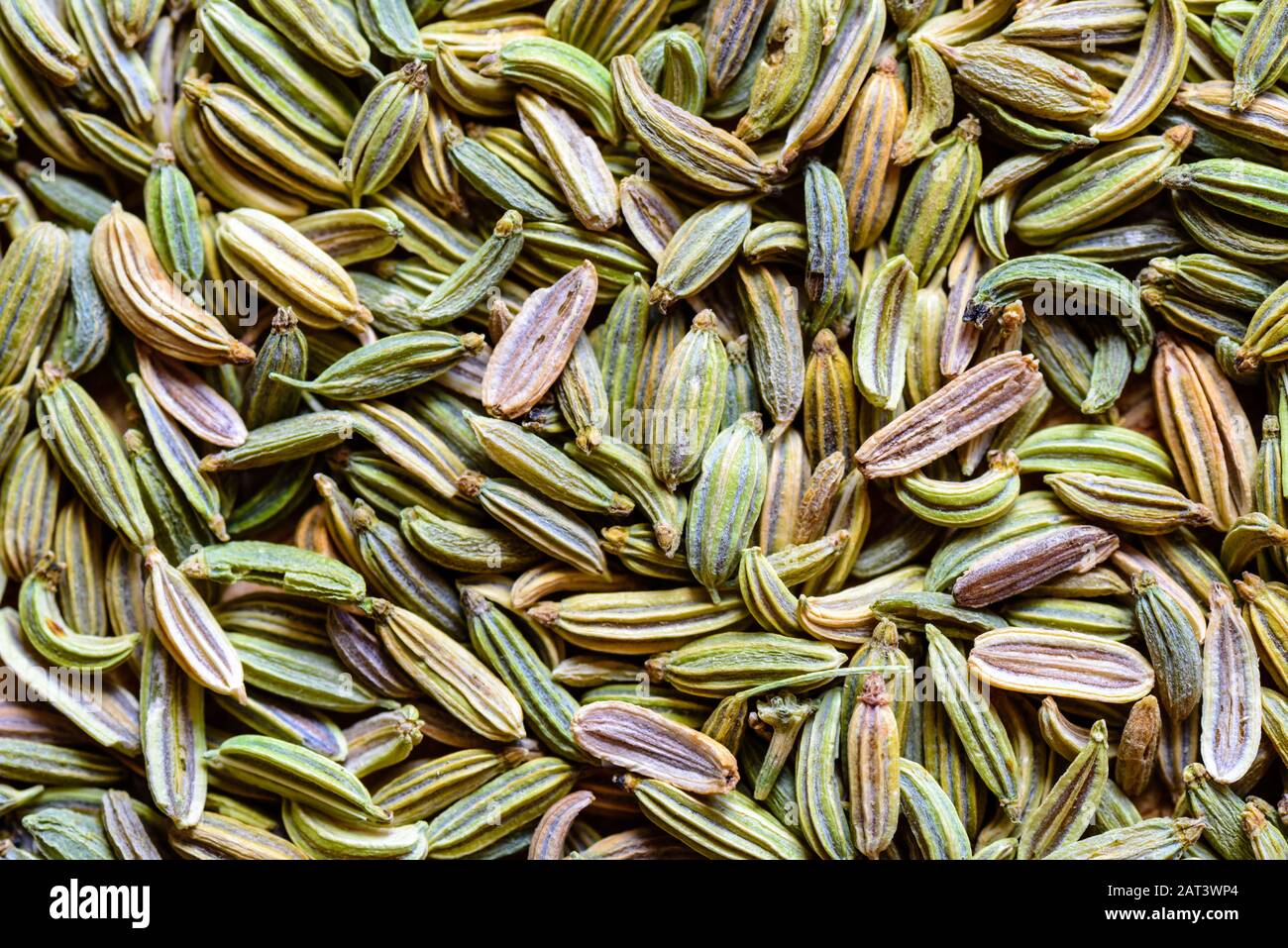 fennel seeds loose background texture ready to be brewed as tea Stock ...