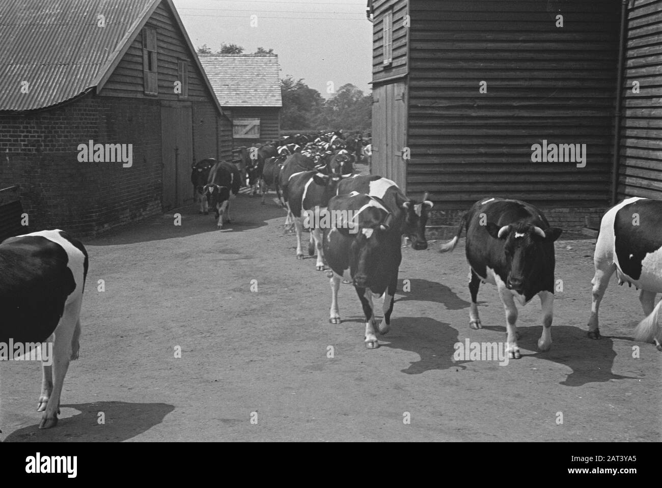 Date and keywor hi-res stock photography and images - Alamy