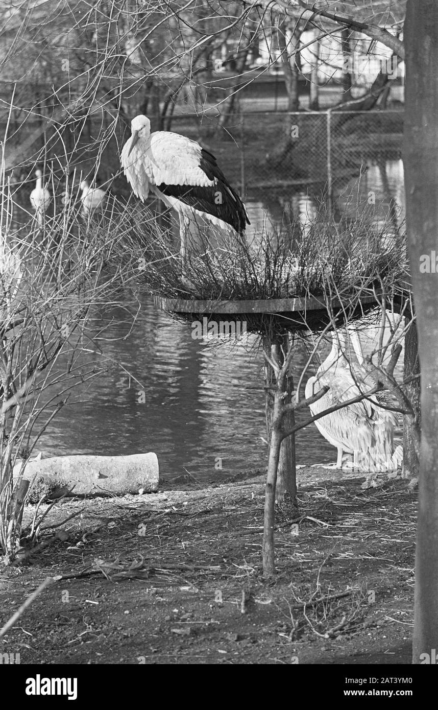 February 15 1968 Black and White Stock Photos & Images - Alamy