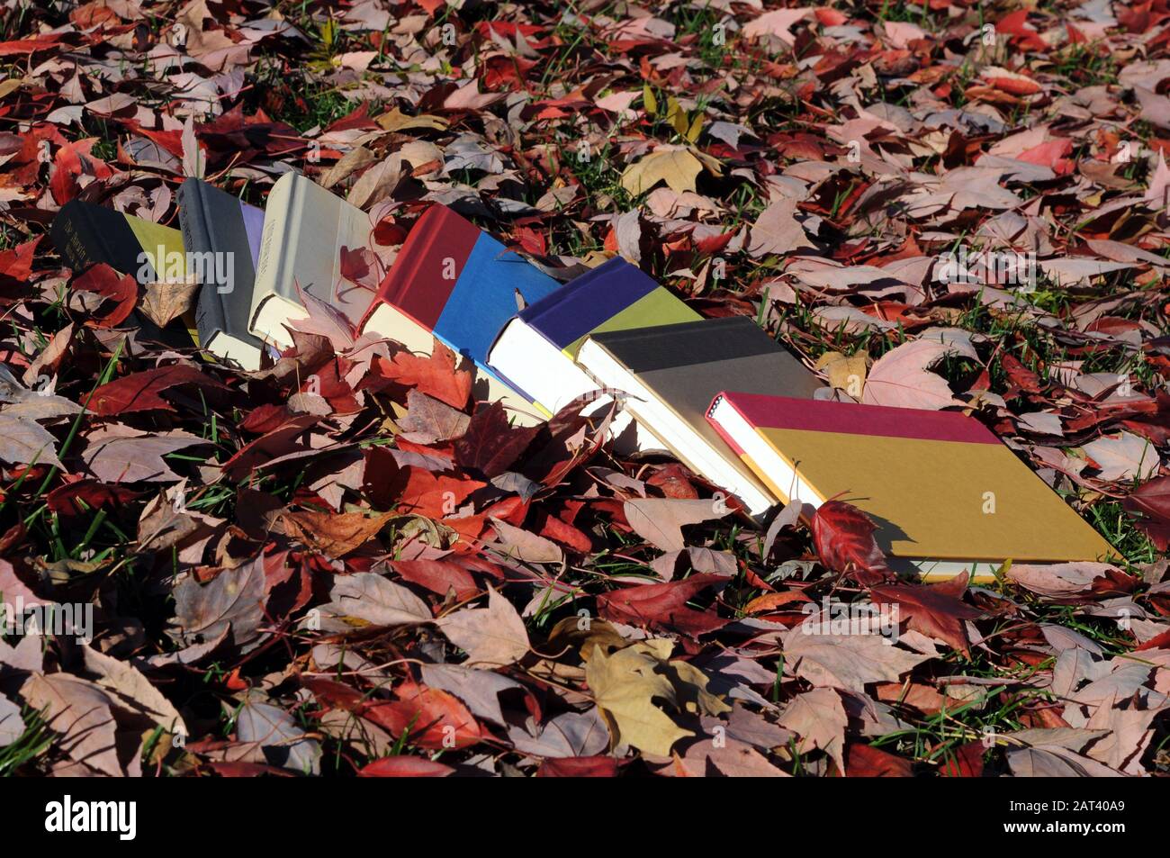 A pile of forgotten books on red leaves in fall season Stock Photo - Alamy