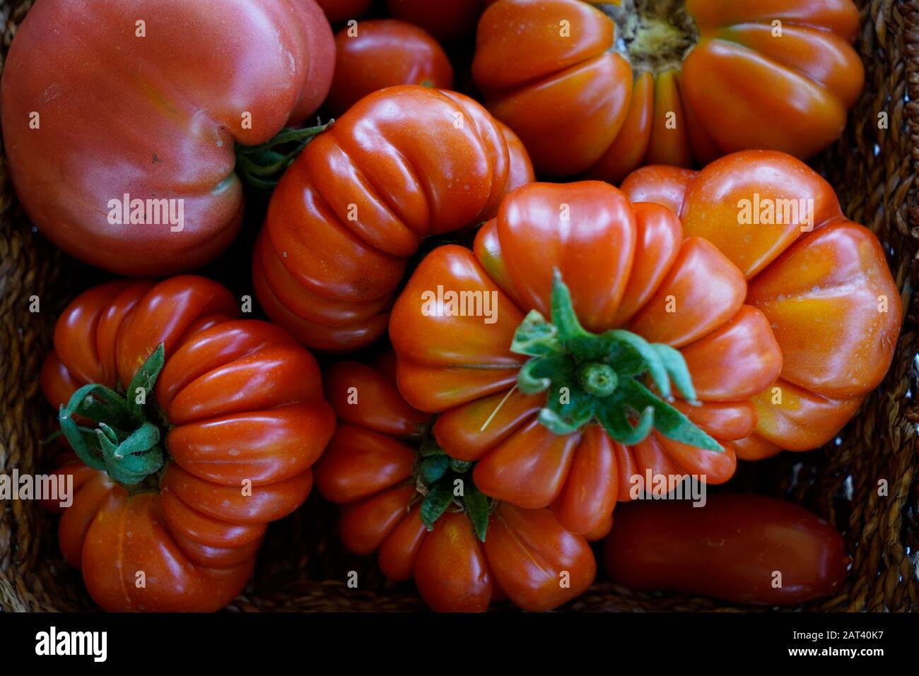 Organic fresh tomatoes, Umbria, Italy, Europe Stock Photo - Alamy