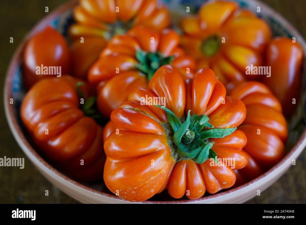 Organic fresh tomatoes, Umbria, Italy, Europe Stock Photo - Alamy