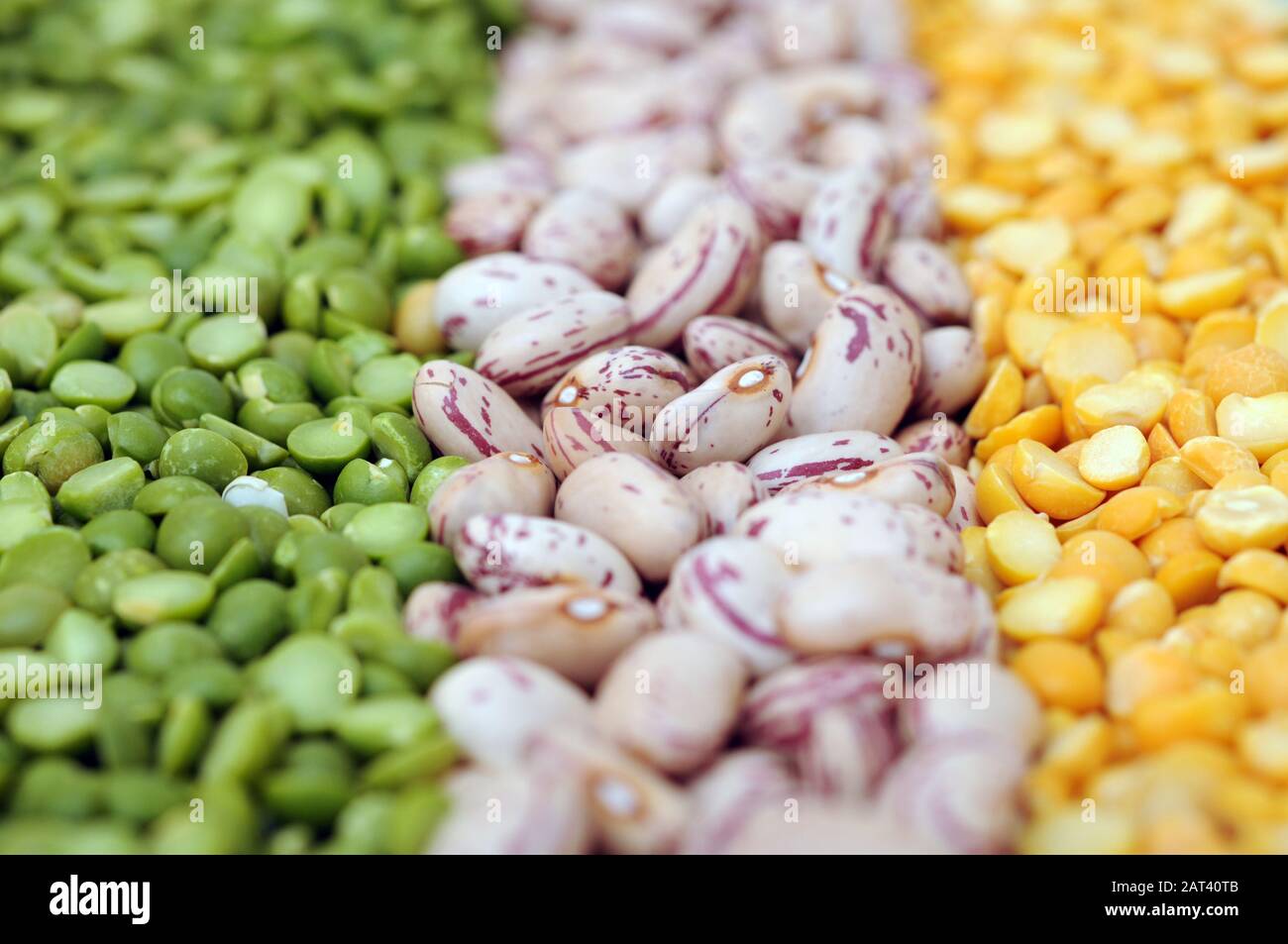 Closeup of mix beans for background uses Stock Photo - Alamy