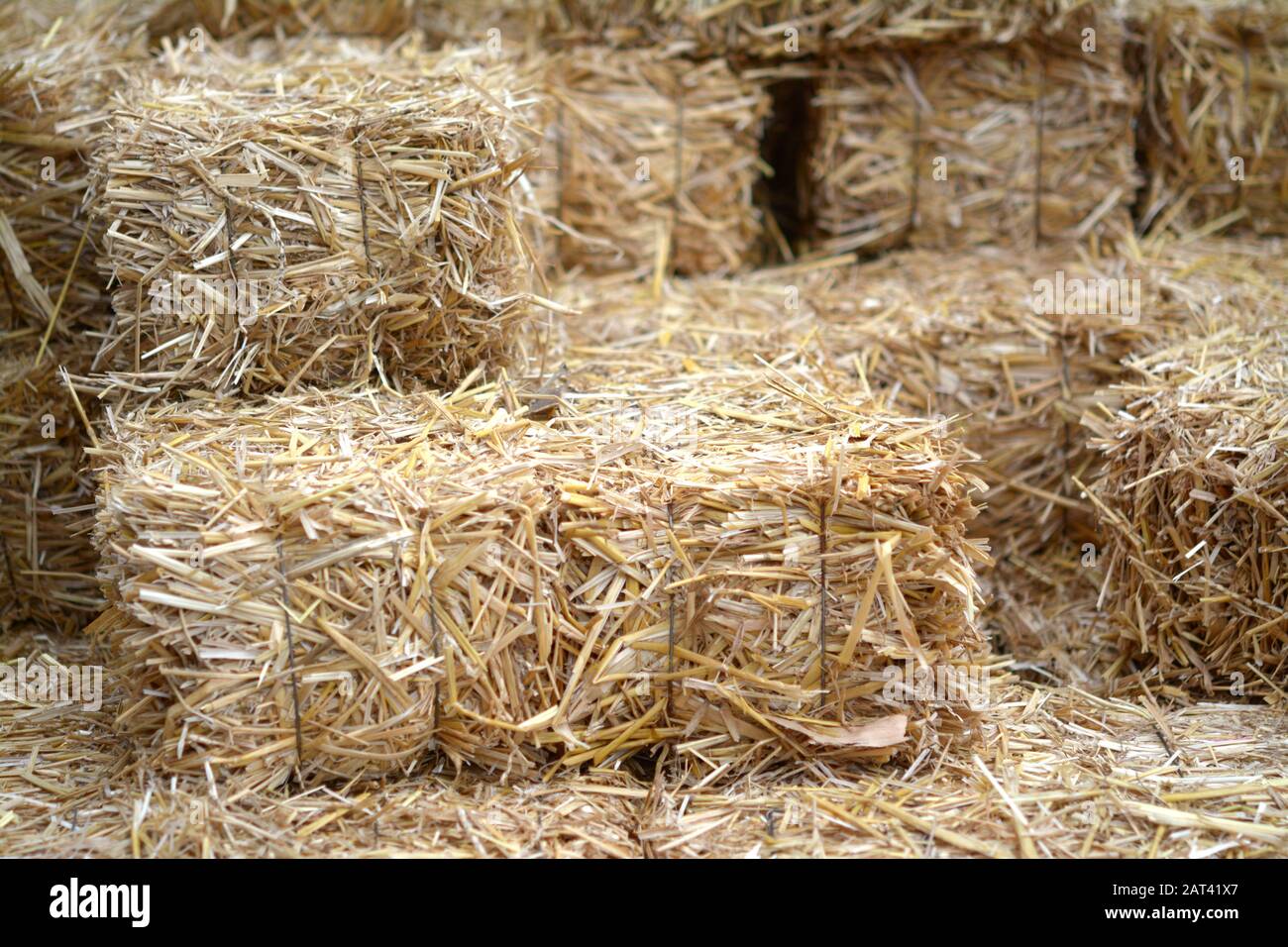 Hay bunches hi-res stock photography and images - Alamy