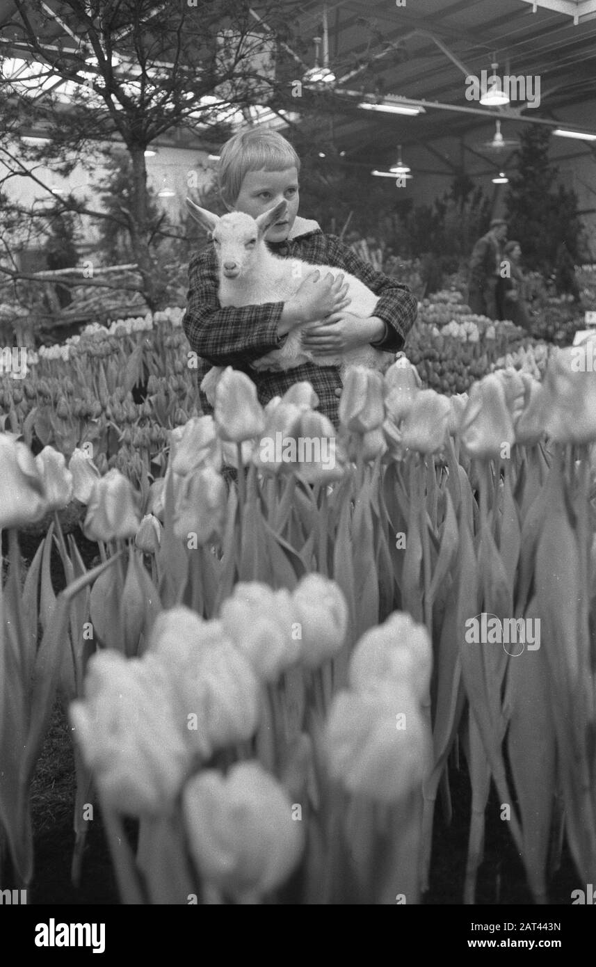 Name plant spring Black and White Stock Photos & Images - Alamy