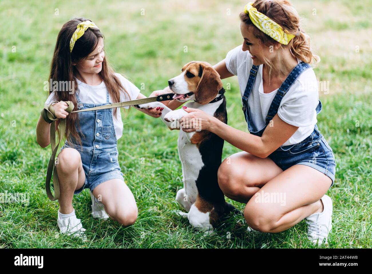 Daughter and mother are playing with a dog in the park outdoor. - Image ...