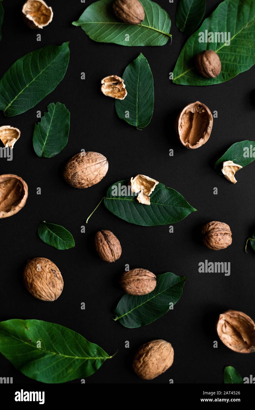 Closeup nutshell and fresh green leafs scattered on a black background ...