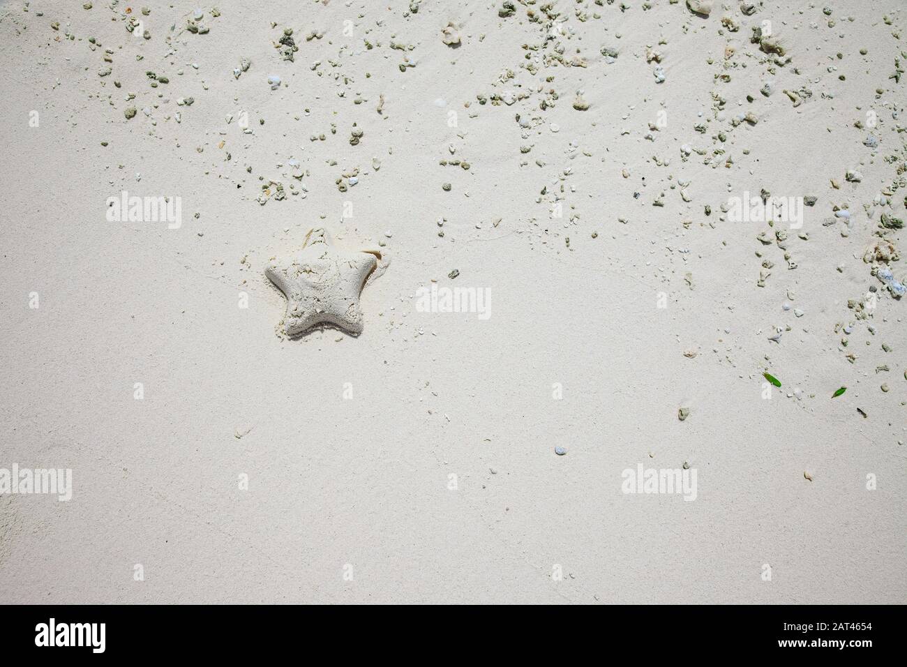 White Sand beach top view with sea star shape Stock Photo - Alamy