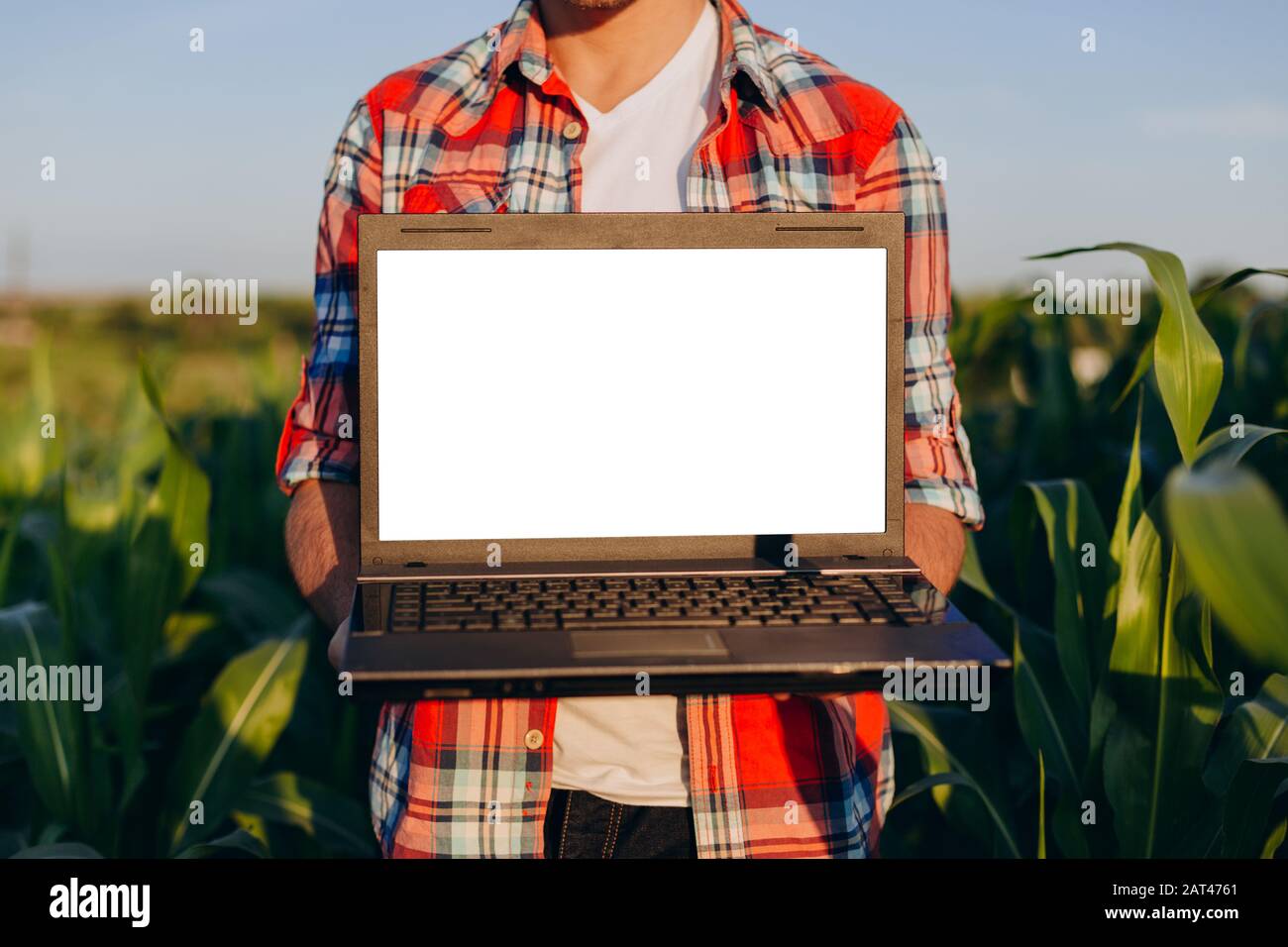 Farmer standing in a field holding open laptop. White screen mockup ...