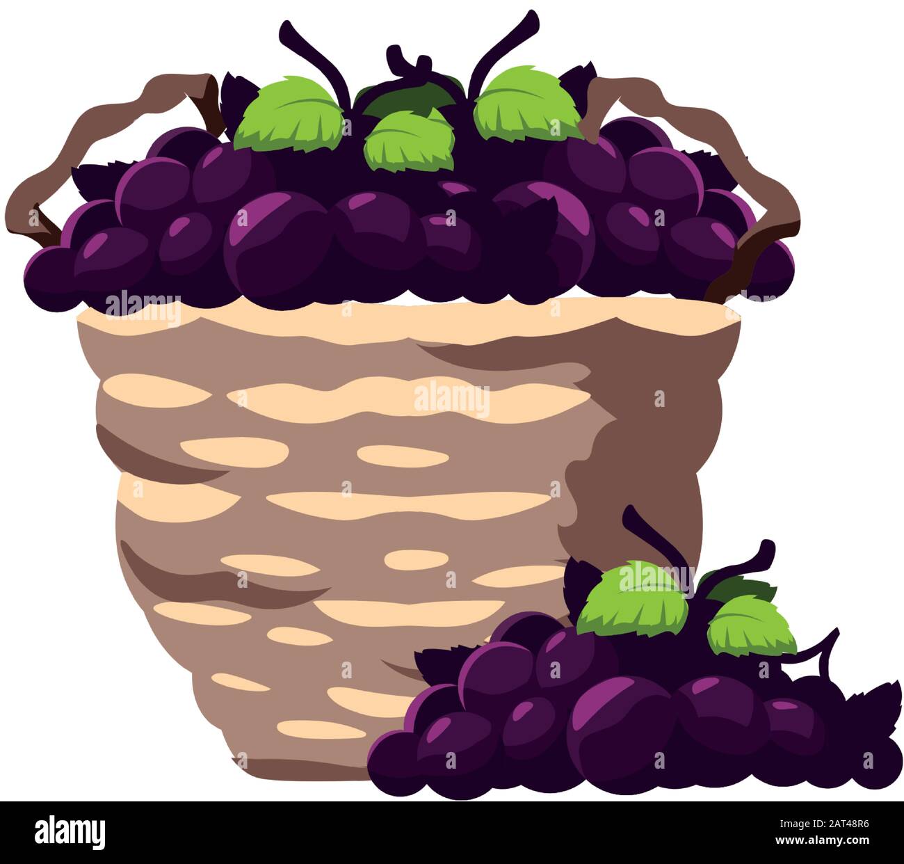 Grape branch icon cartoon Stock Vector Images - Alamy