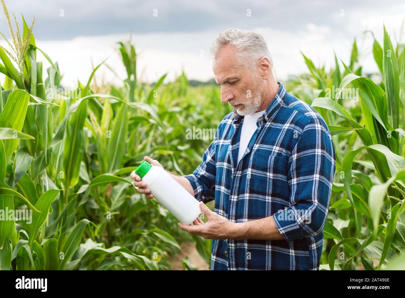 Middle aged farmer in a field holding a bottle with chemical ...