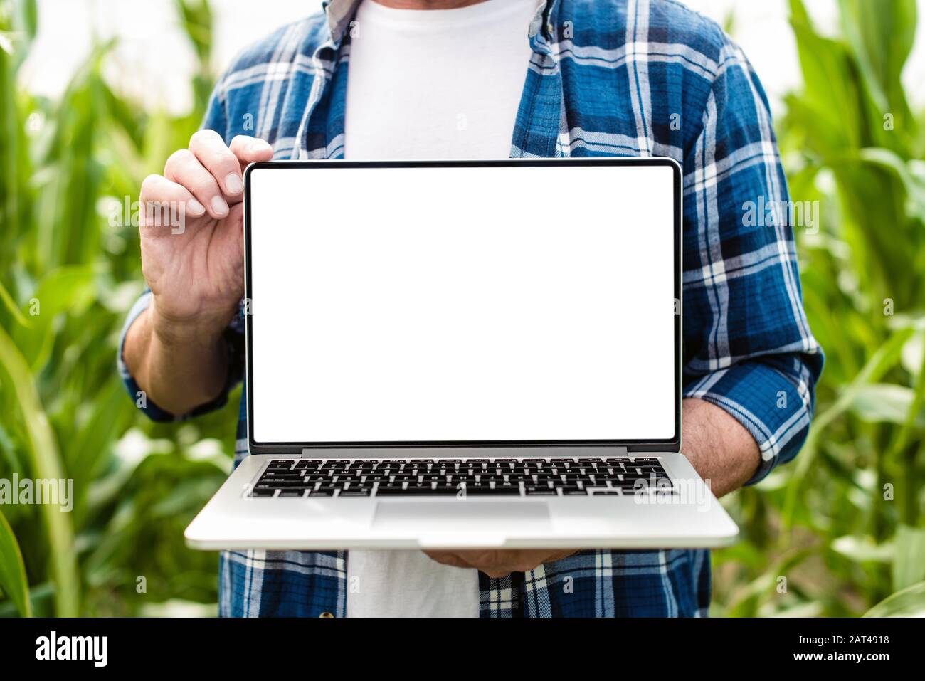 Farmer standing in a field holding open laptop. White screen mockup ...