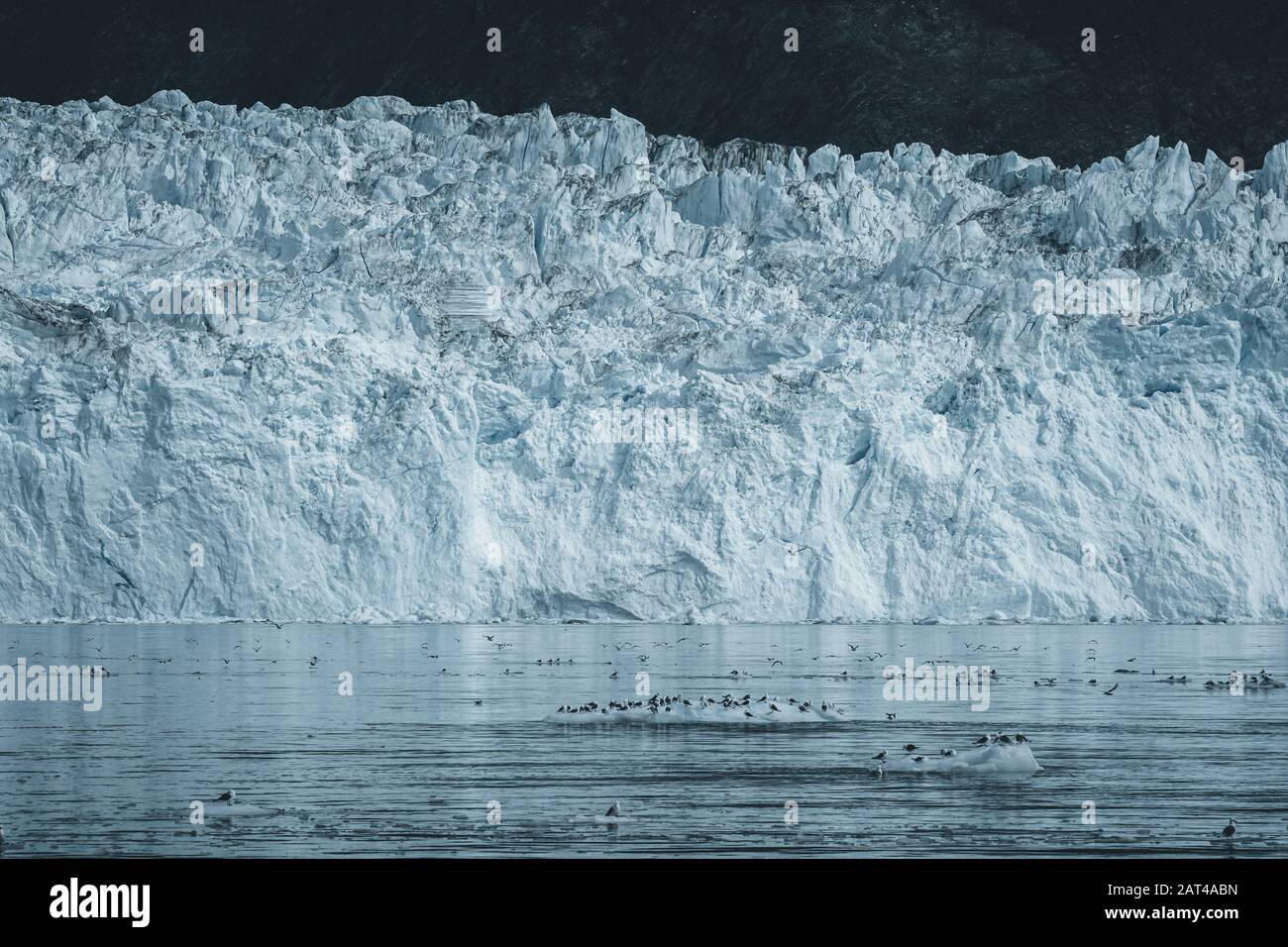 Close Up shot of huge Glacier wall. Large chunks of ice breaking off ...