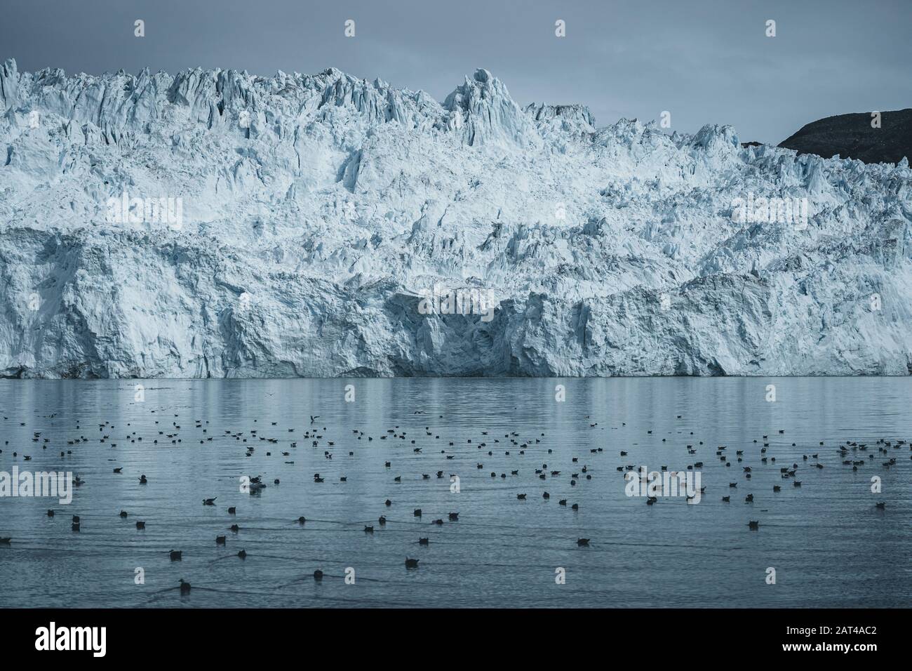 Close Up shot of huge Glacier wall. Large chunks of ice breaking off ...