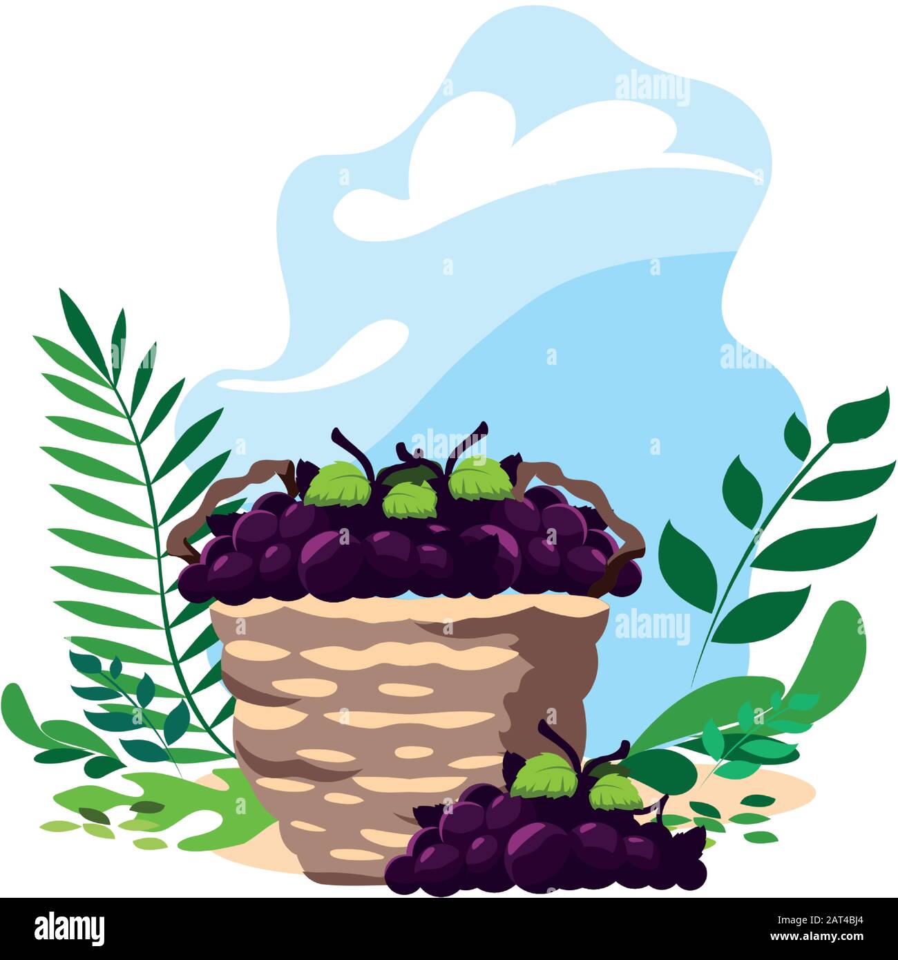 Grape branch icon cartoon hi-res stock photography and images - Alamy