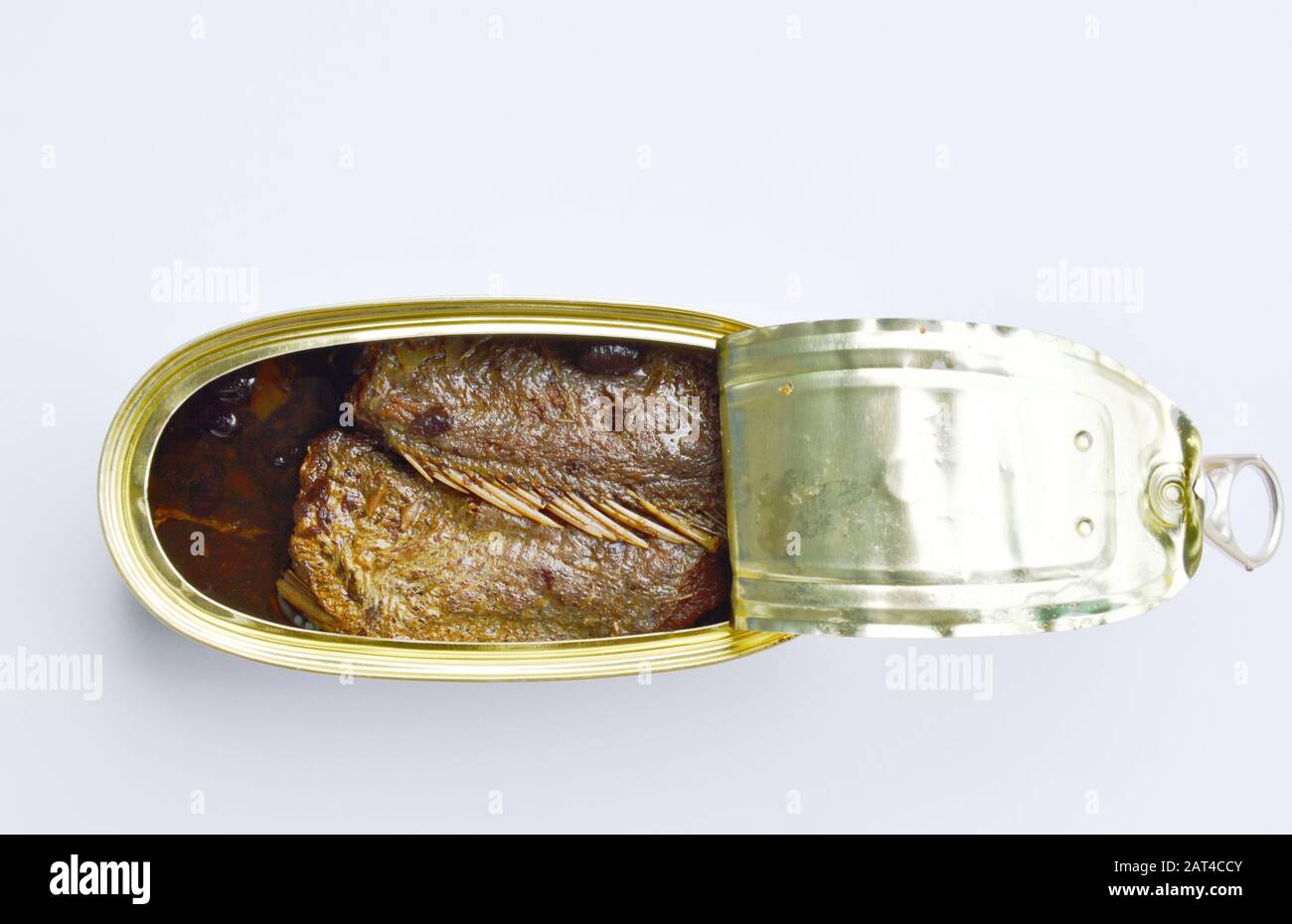 salty fried fish in tin canned opened on white background Stock Photo ...