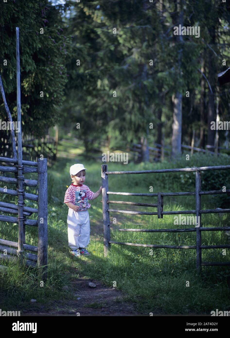 Little boy at old gate in the forest Stock Photo - Alamy