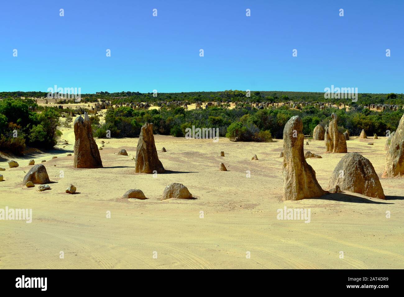 Australia, WA, The Pinnacles in Nambung National Park, preferred ...