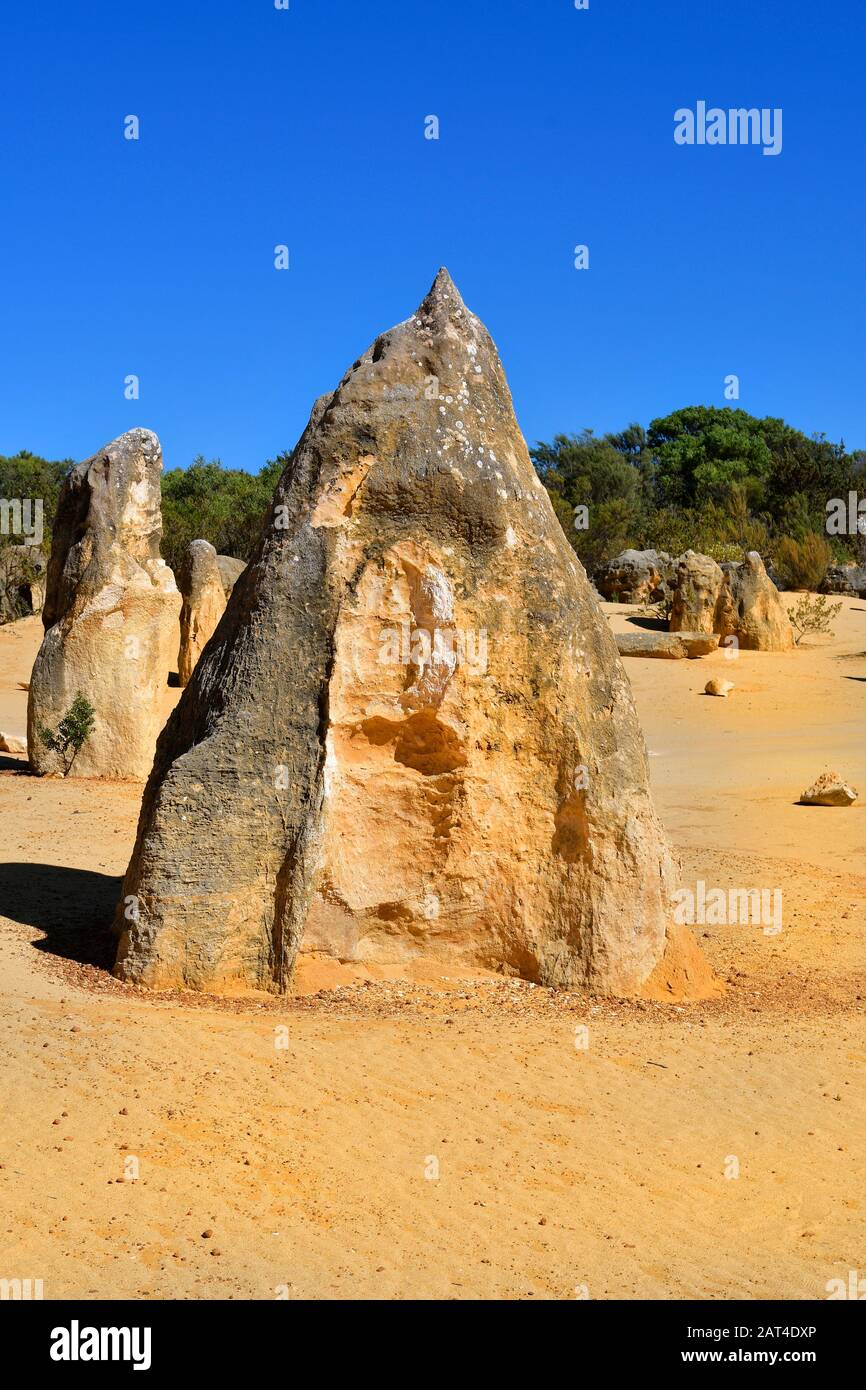 Australia, WA, The Pinnacles in Nambung National Park, preferred ...