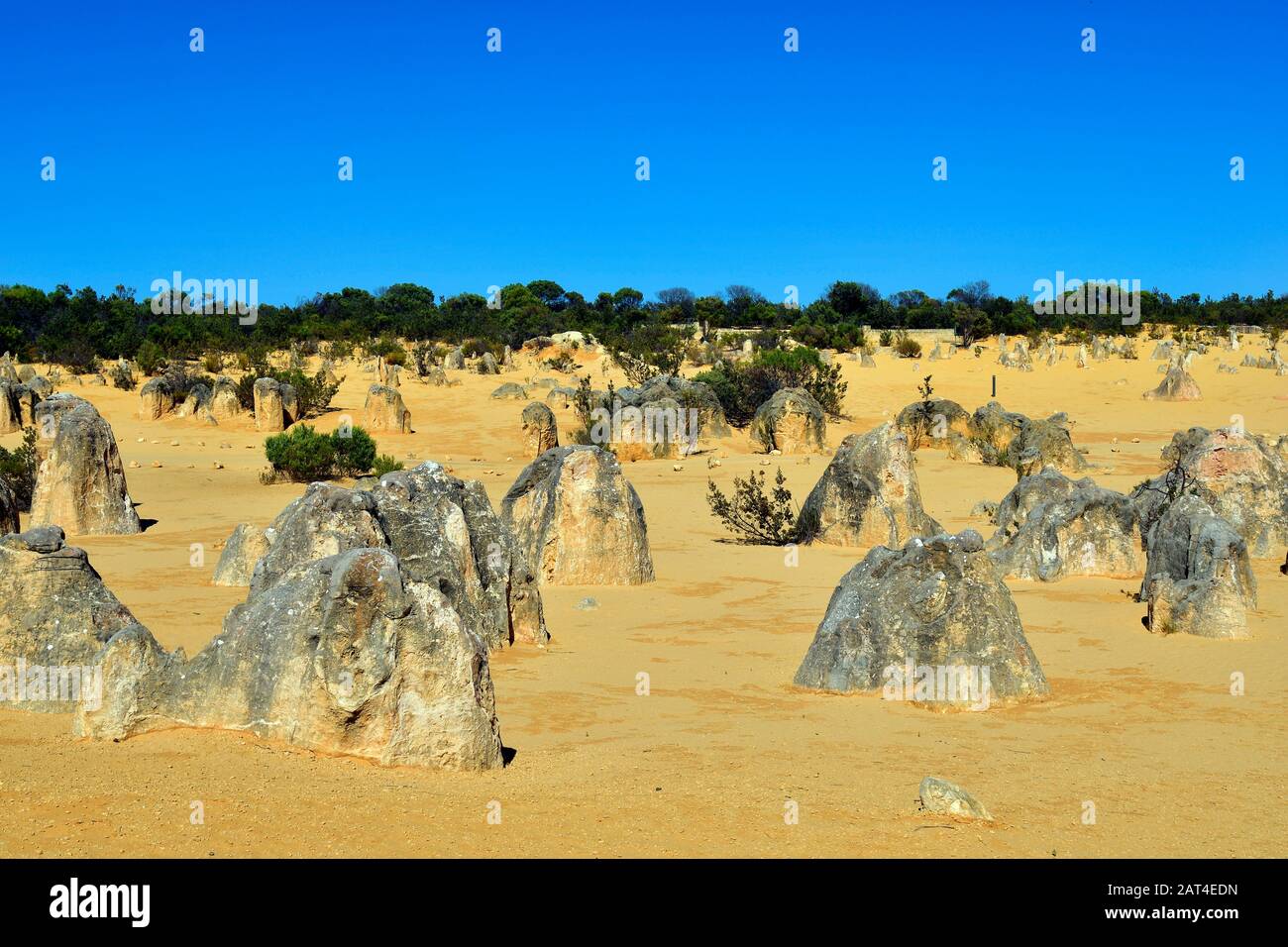 Australia, WA, The Pinnacles in Nambung National Park, preferred ...