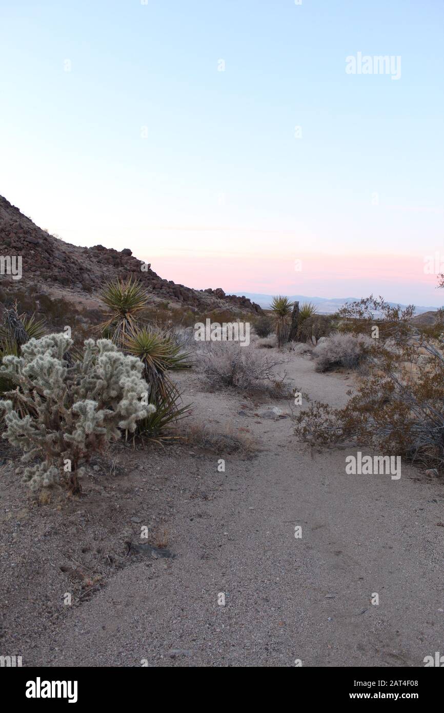 The wash national nature reserve hi-res stock photography and images ...