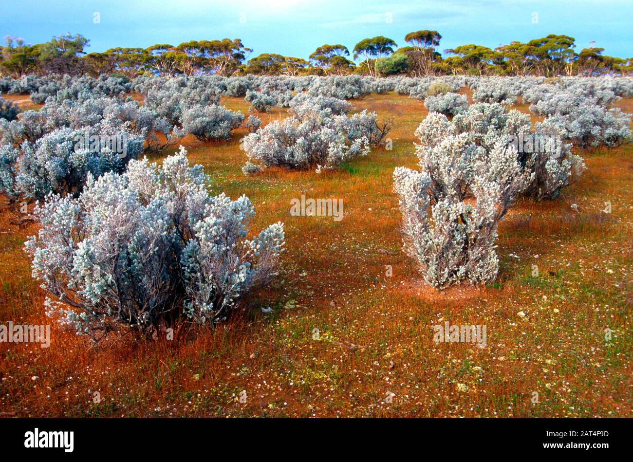 Brookfield Park High Resolution Stock Photography and Images - Alamy