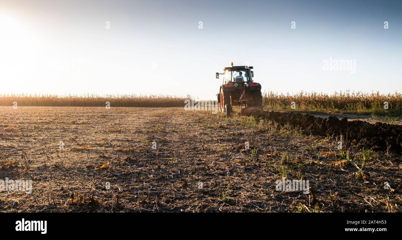 Tractor plowing fields -preparing land for sowing Stock Photo - Alamy