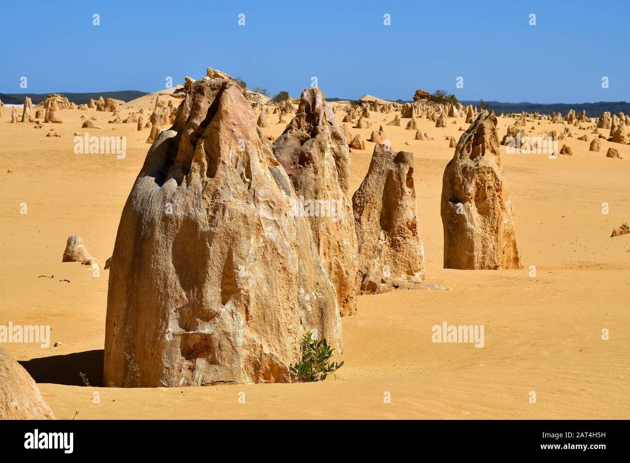 Australia, WA, The Pinnacles in Nambung National Park, preferred ...