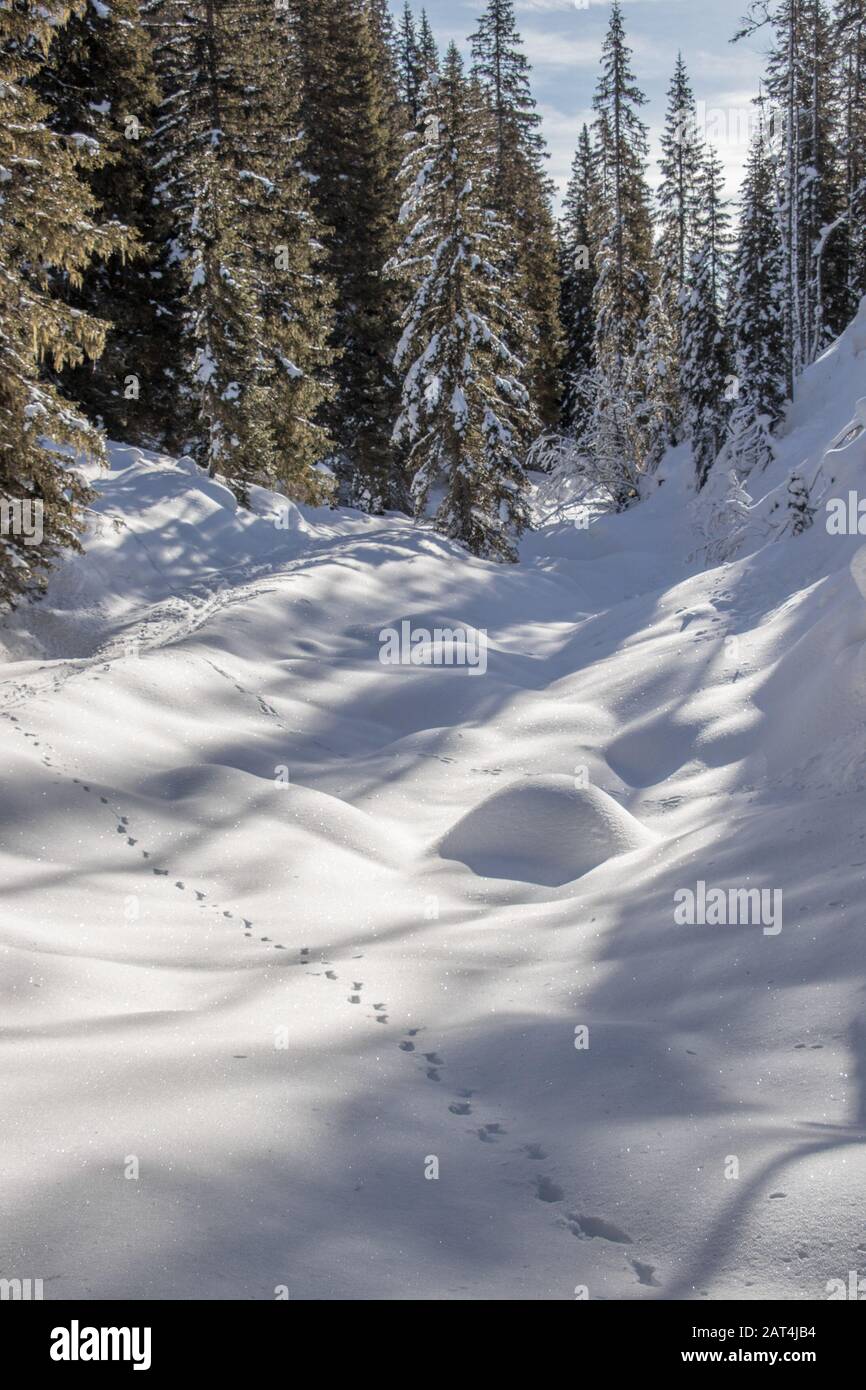 Beautiful mountain trail covered in snow Stock Photo - Alamy