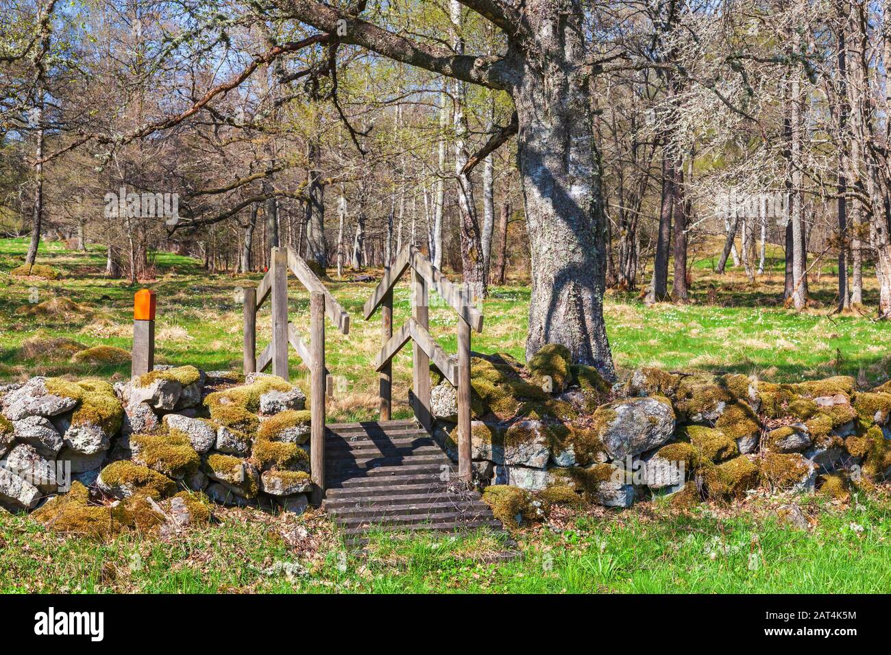 Nature trail passage over a stone wall in a pasture at springtime Stock ...
