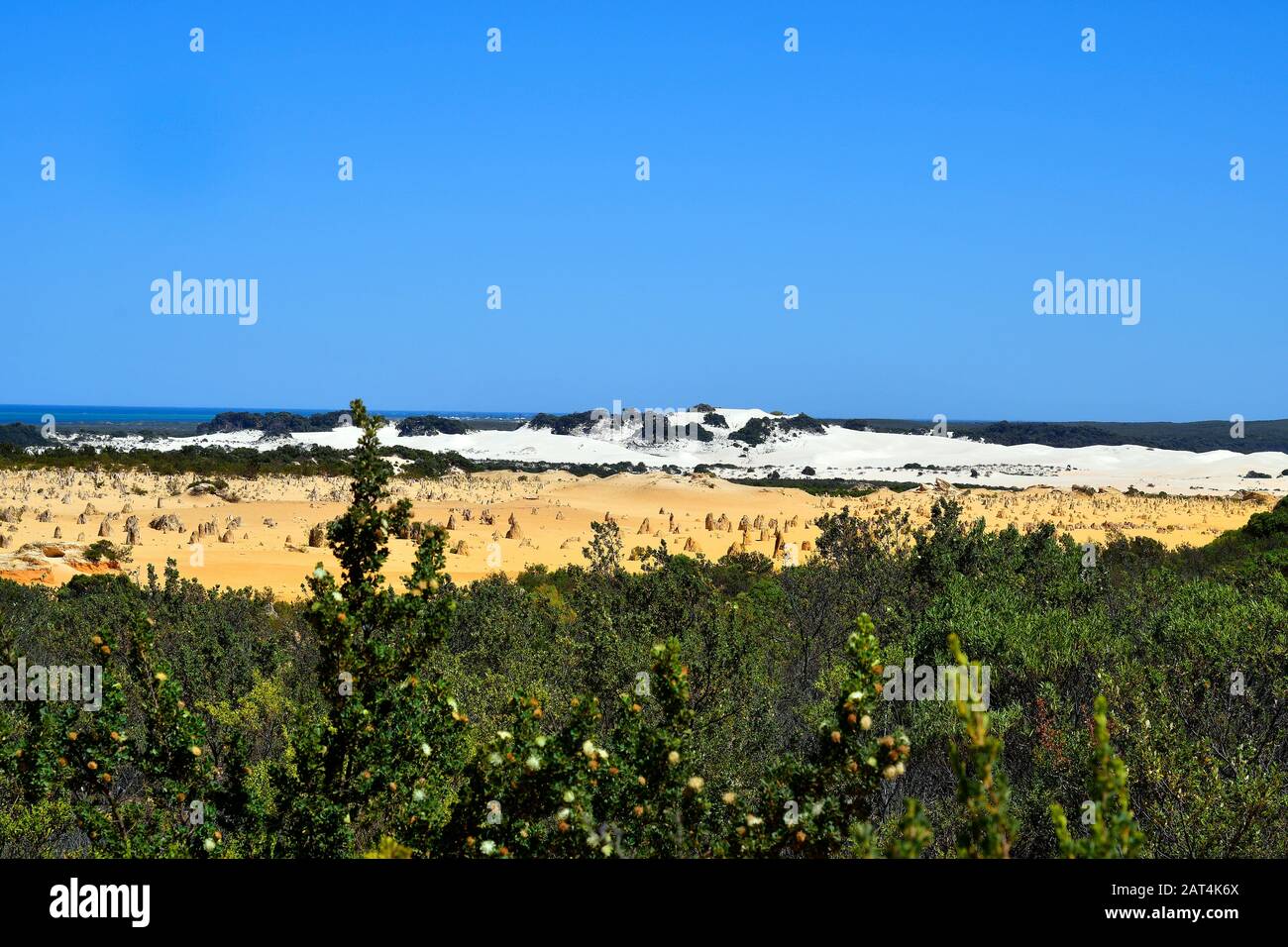 Australia, The Pinnacles in Nambung national park with Indian Ocean in ...