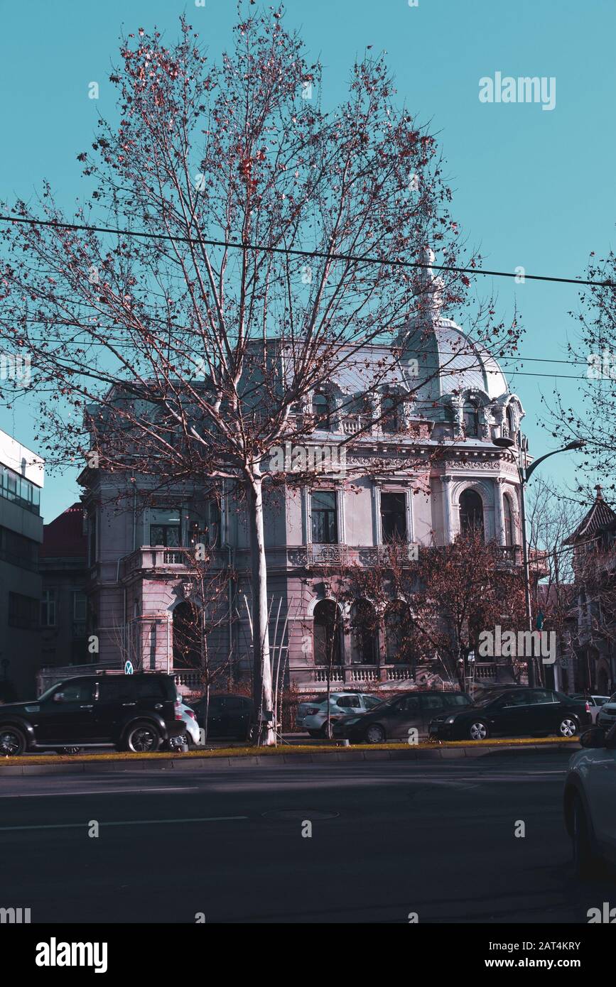 Cars on the road, a tree in the middle of the road, a white building ...
