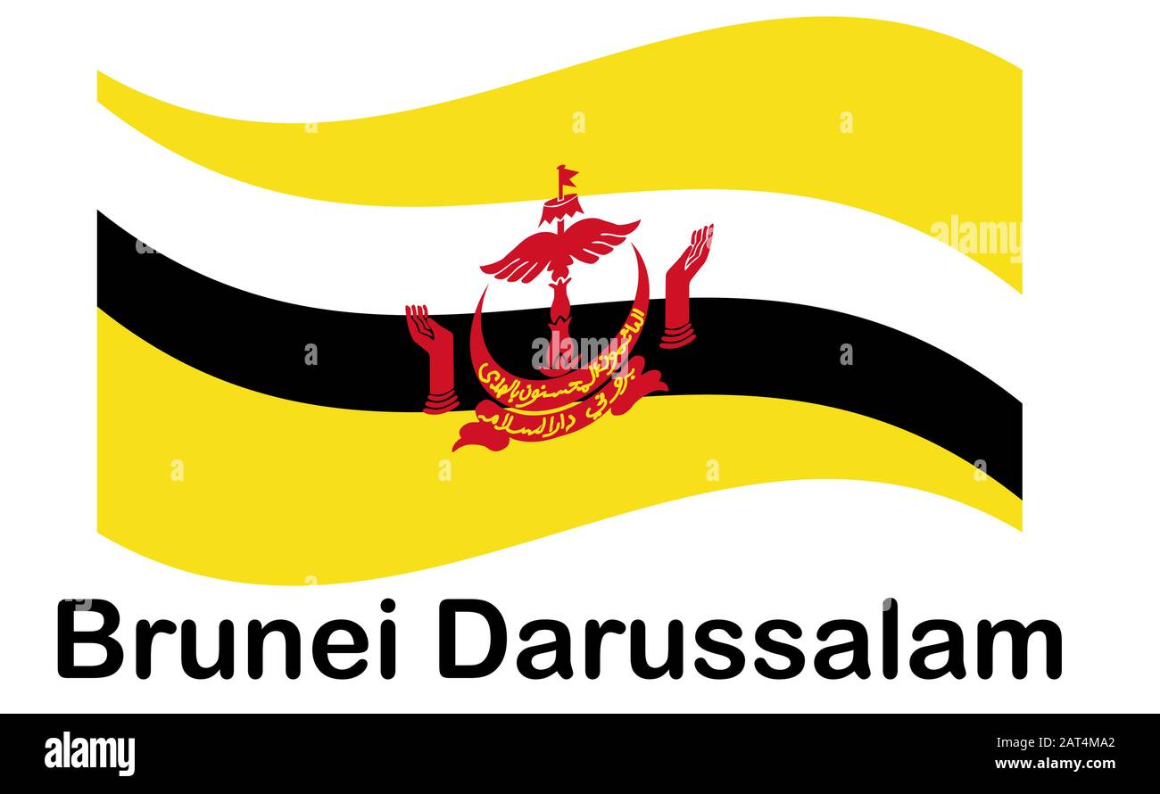Brunei Darussalam Flag Button. icon flag of Brunei Darussalam on white ...