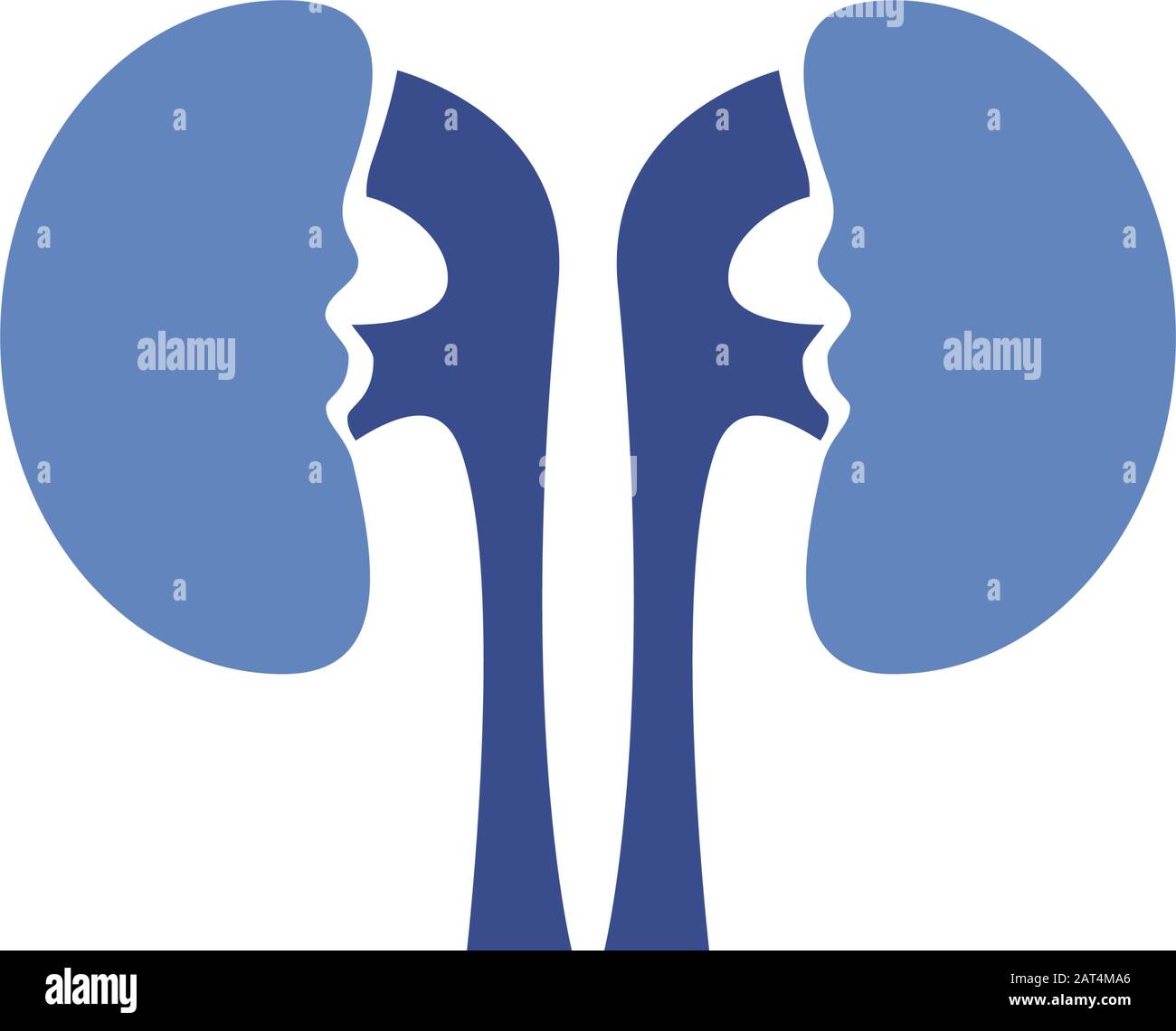 Internal mesh Stock Vector Images - Alamy