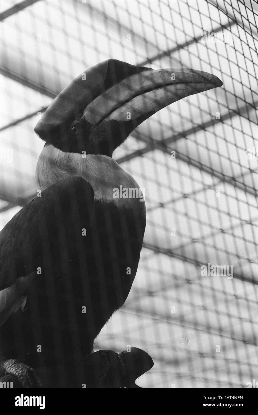 African birds in zoo Black and White Stock Photos & Images - Alamy