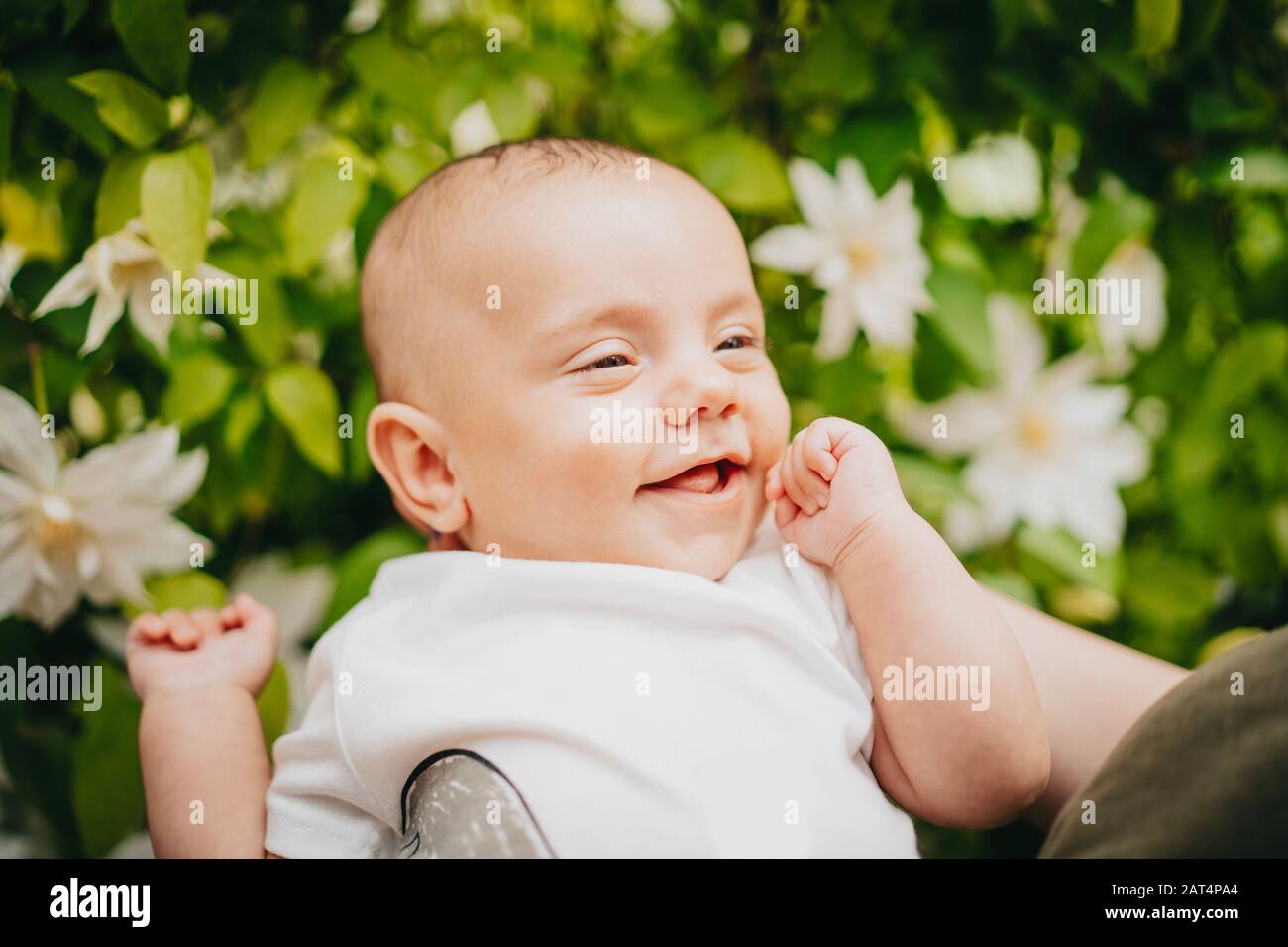 Beautiful portrait of little baby boy on flowers bush background. Child ...