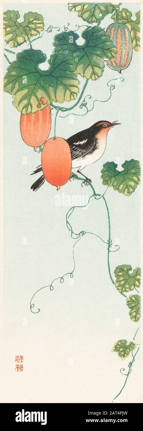 Illustration of a bird vintage design Stock Photo - Alamy