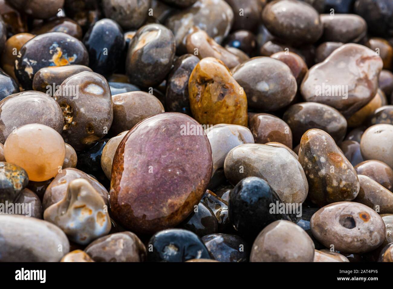 Pebbles on a beach Stock Photo - Alamy