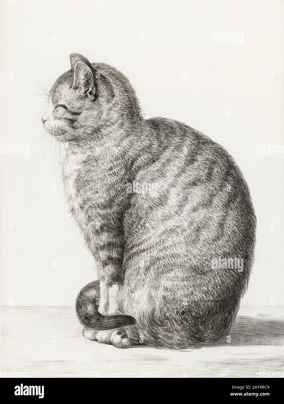 Vintage cat illustration artwork Stock Photo - Alamy