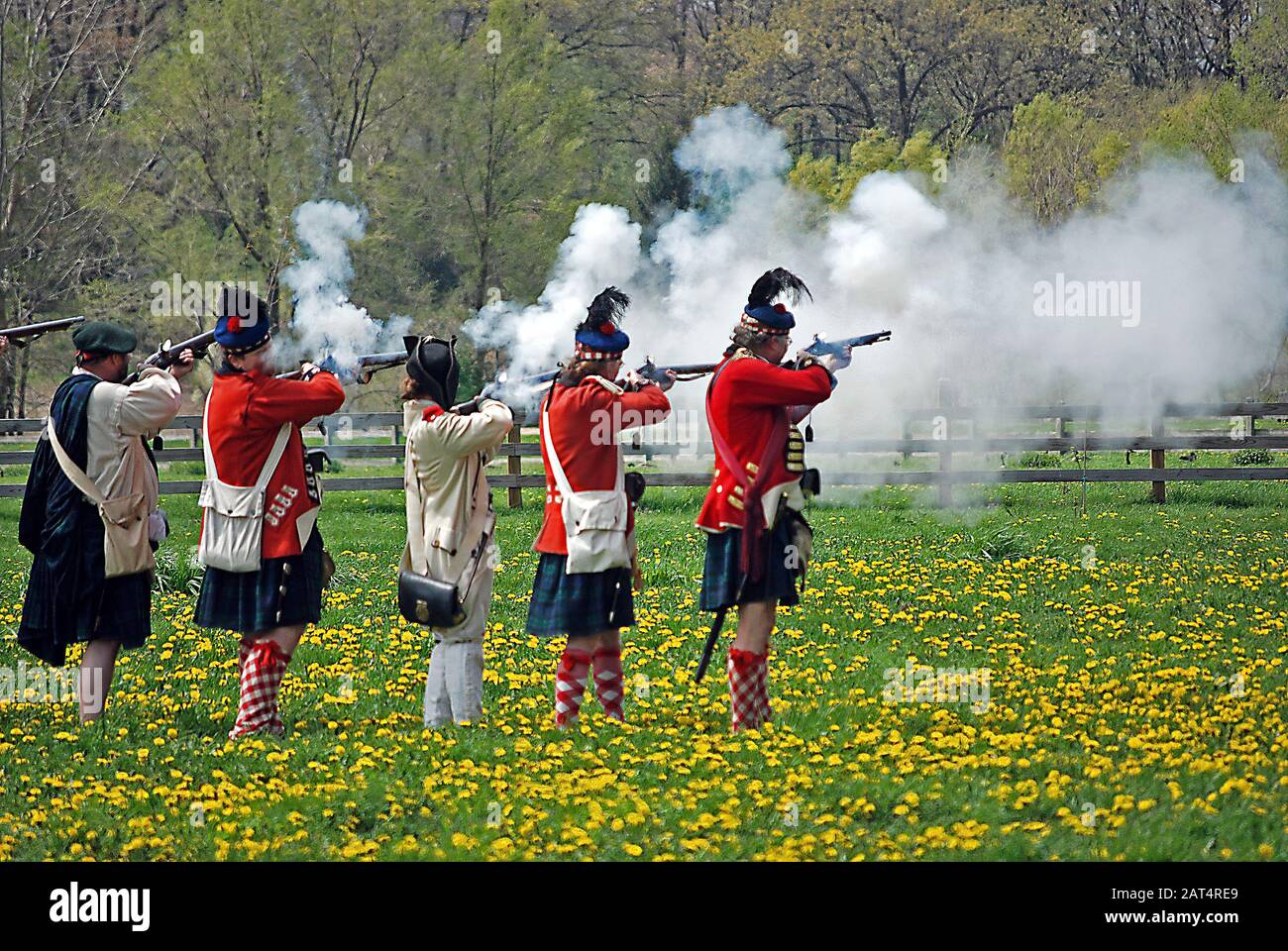Scottish soldiers firing guns in dandelion field Stock Photo - Alamy
