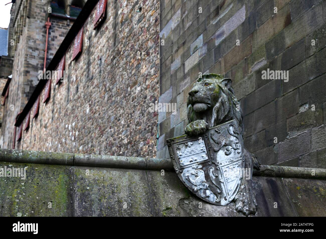 Lion with shield hi-res stock photography and images - Alamy