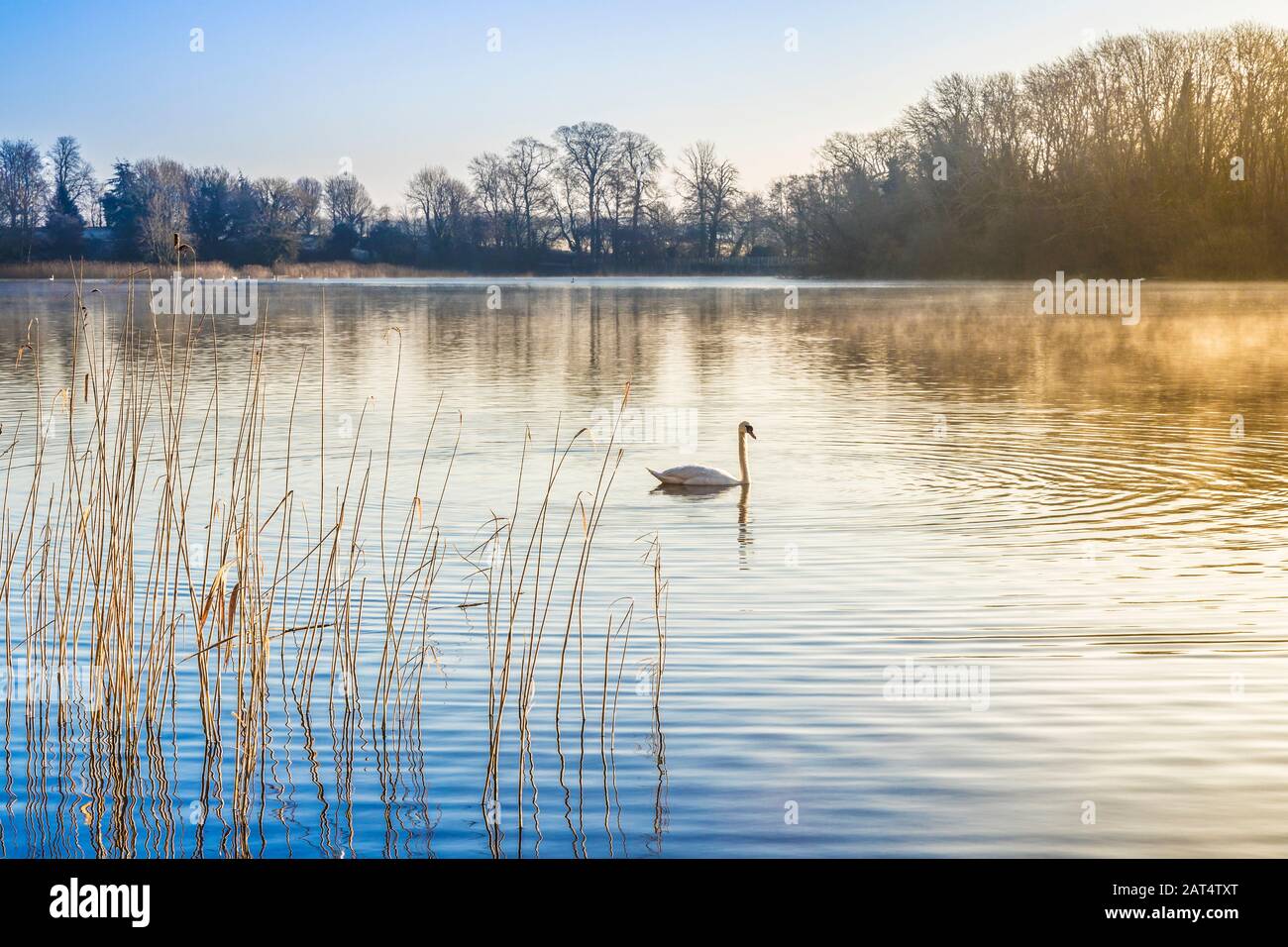 Misty cold morning in hi-res stock photography and images - Alamy