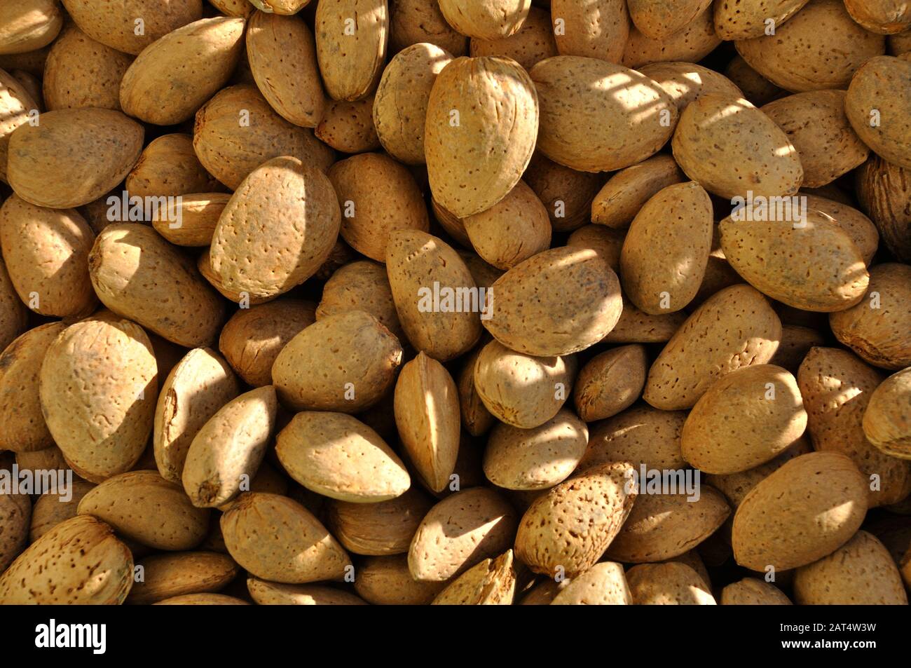 Dried almonds in a crate Stock Photo - Alamy
