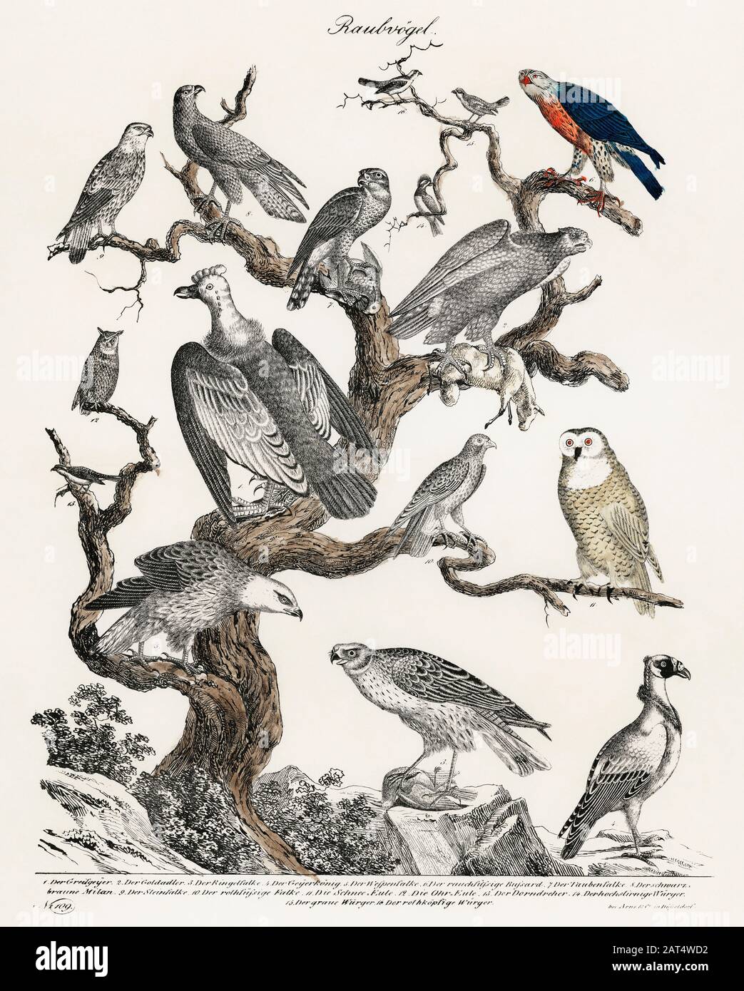 vintage illustration art Stock Photo - Alamy