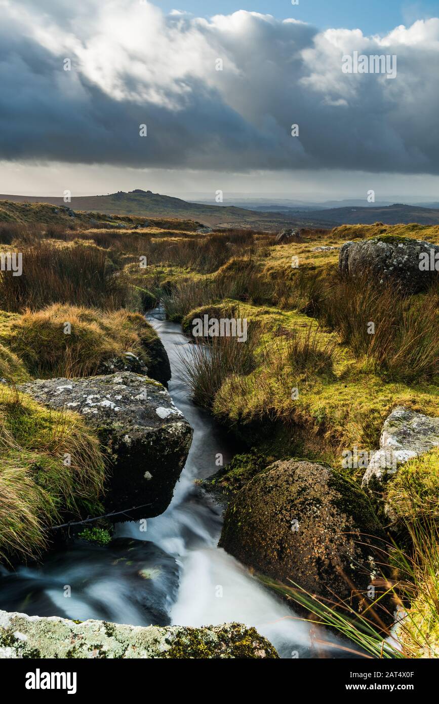 Devon moorland of dartmoor hi-res stock photography and images - Alamy