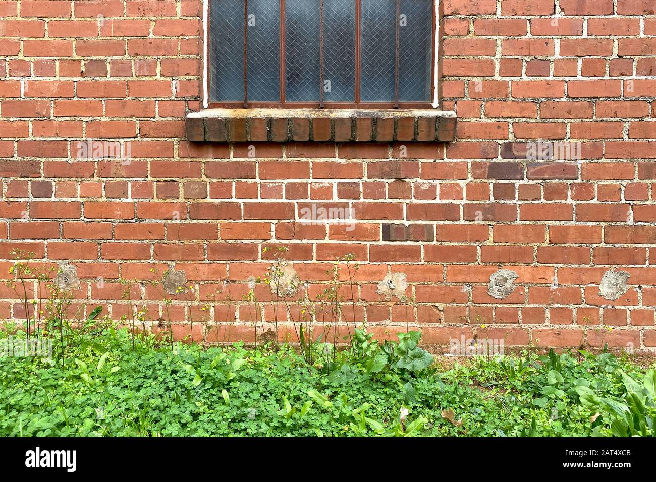 a garden path wall with grass and rusted window Stock Photo - Alamy