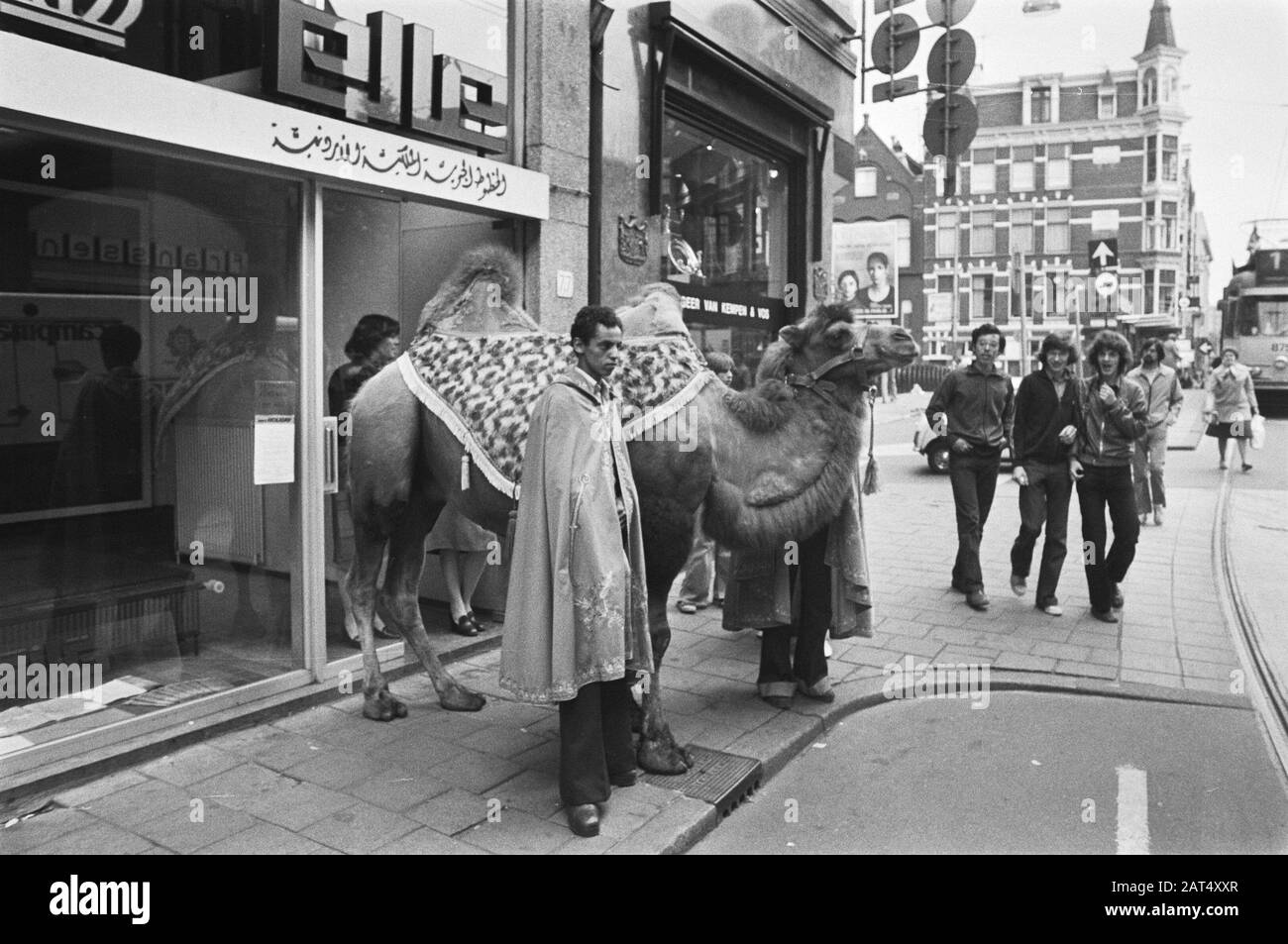 Cameel Black and White Stock Photos & Images - Alamy