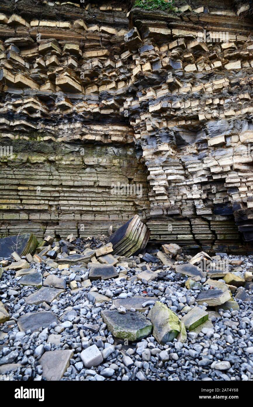 Blue Lias limestone and shale rock strata in cliffs at Lavernock Point ...